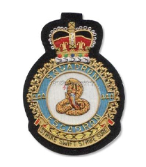 Squadrons Badge – Cat King