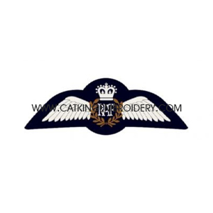 Rationalisation Of Royal Air Force Flying Badge – Cat King