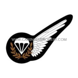 Rationalisation Of Royal Air Force Flying Badge – Cat King