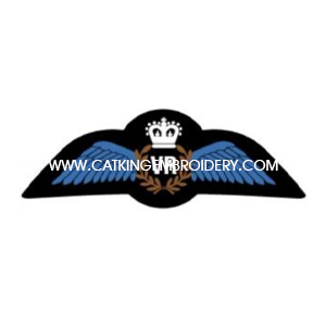 Rationalisation Of Royal Air Force Flying Badge – Cat King