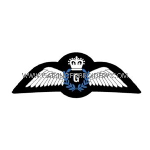 Rationalisation Of Royal Air Force Flying Badge – Cat King